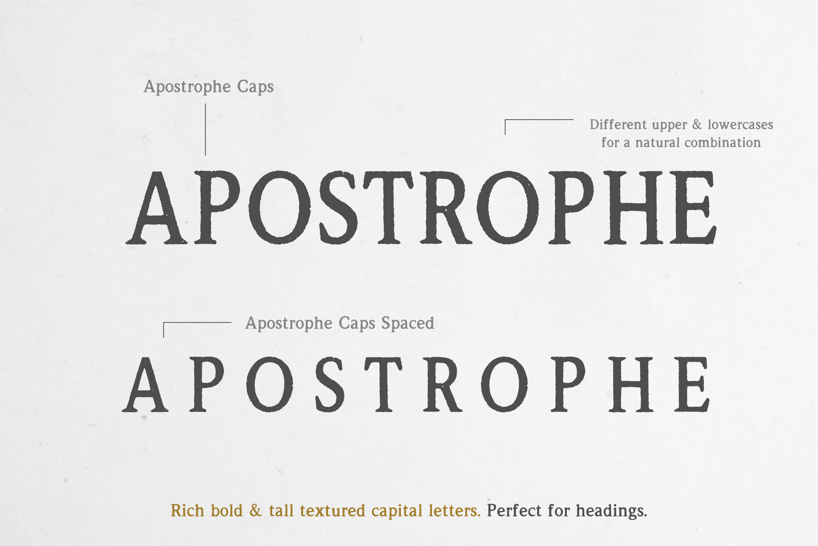 Apostrophe Vintage Serif Font – pixelcolours